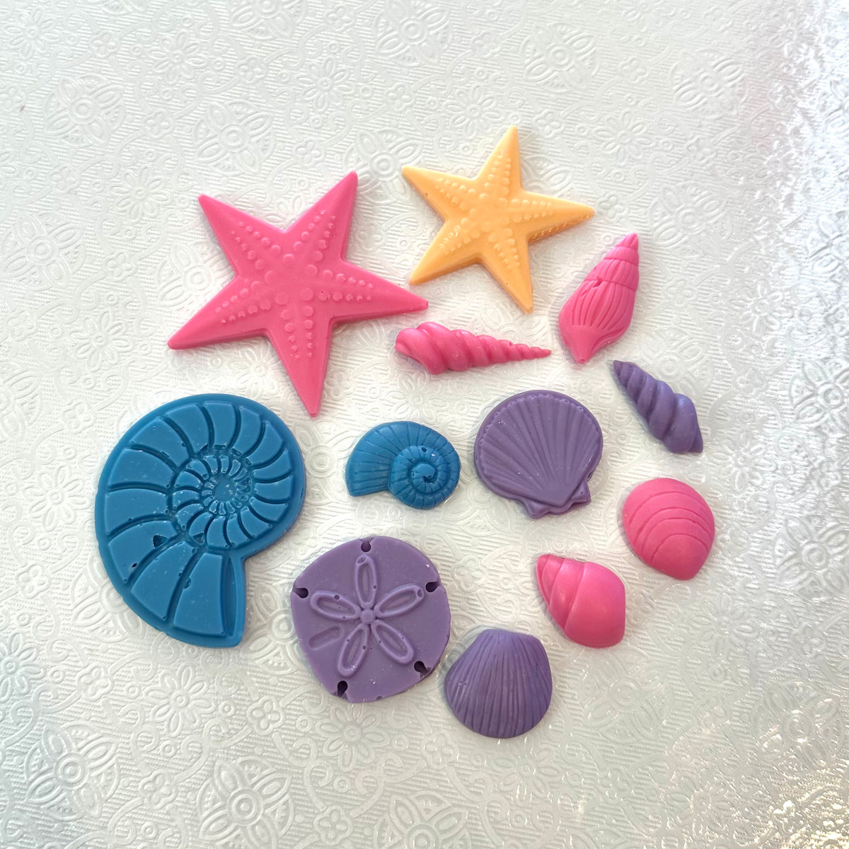 Assorted Chocolate Sea Shells - 12 pack – The Cake Shop